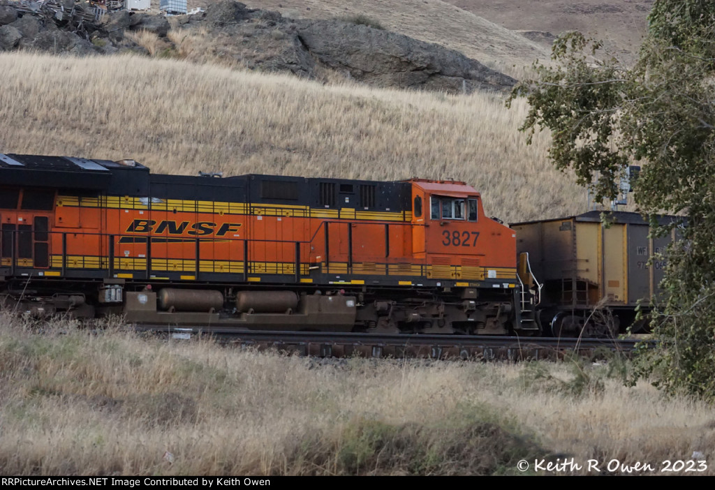 BNSF 3827